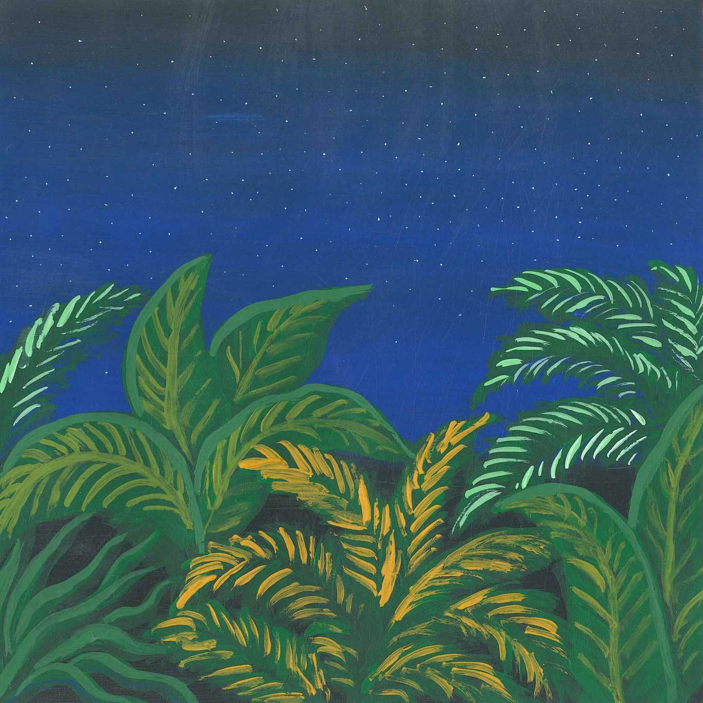 Soft Rain in the Congo Rainforest - earth.fm