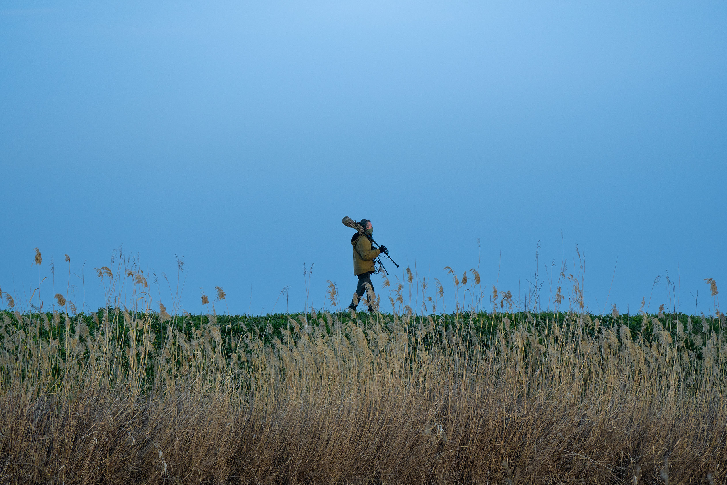 Finding the exotic on the doorstep: Interview with wildlife sound ...