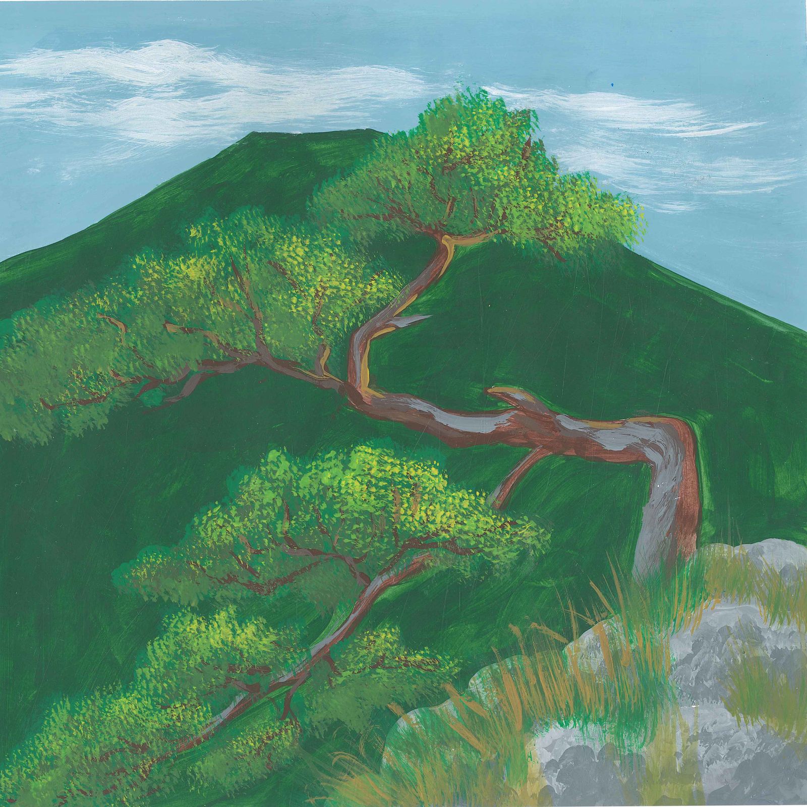 Calm Jungle Morning in the Rainforest - earth.fm