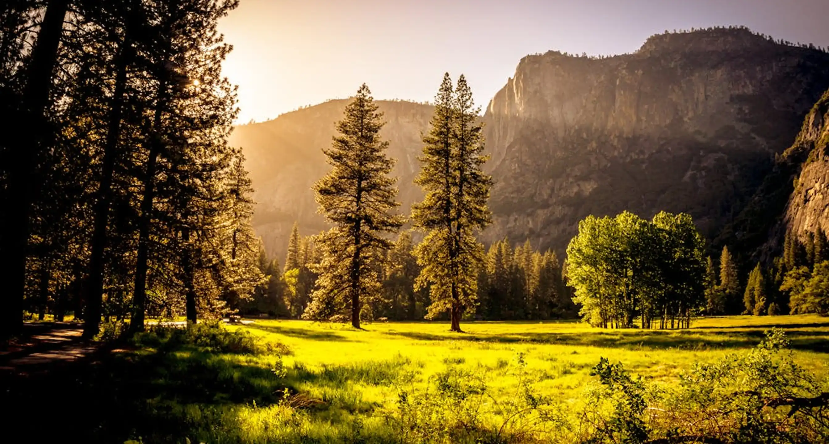 Earth.fm App: Listen to nature sounds, fall in love with the Earth