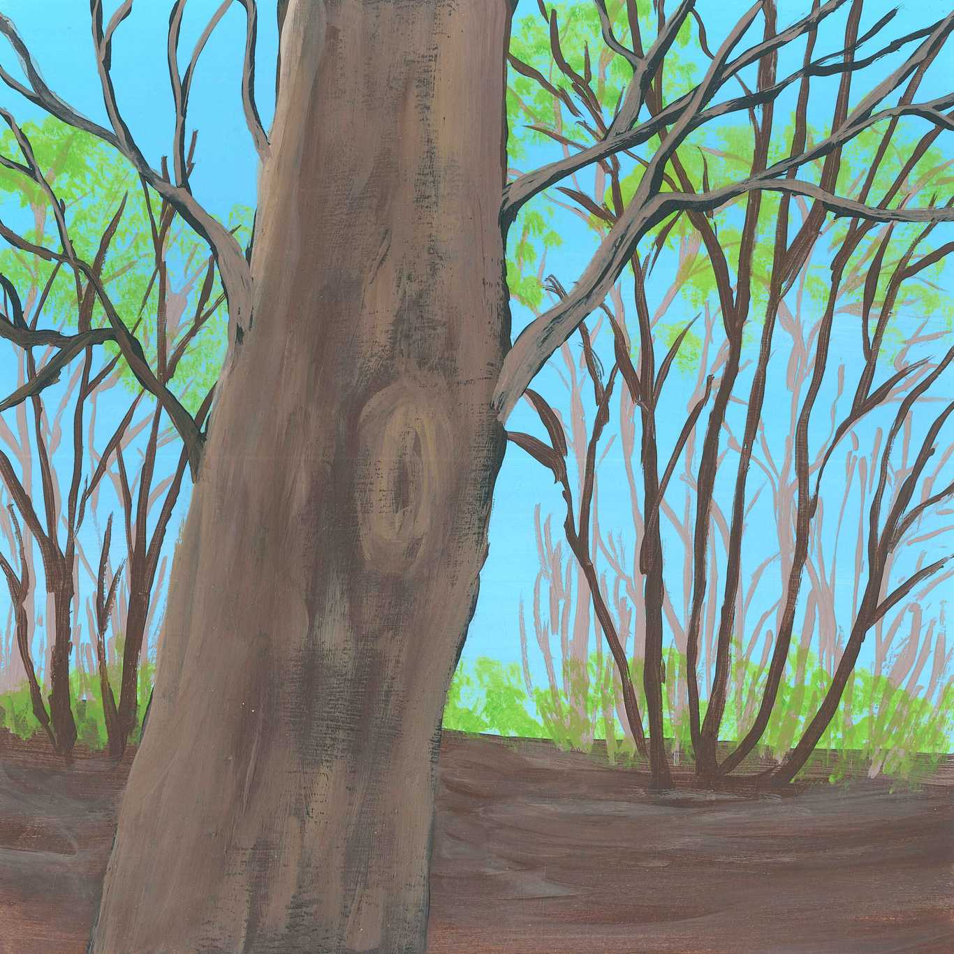 The Best Nature Sounds for Sleep Playlist - earth.fm