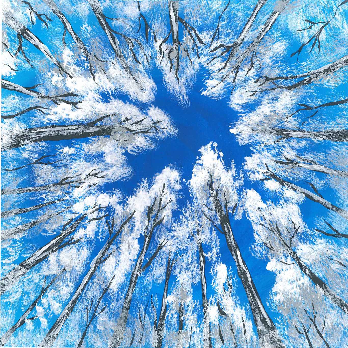 Heavy Snowfall In The Beech Forest Earth fm