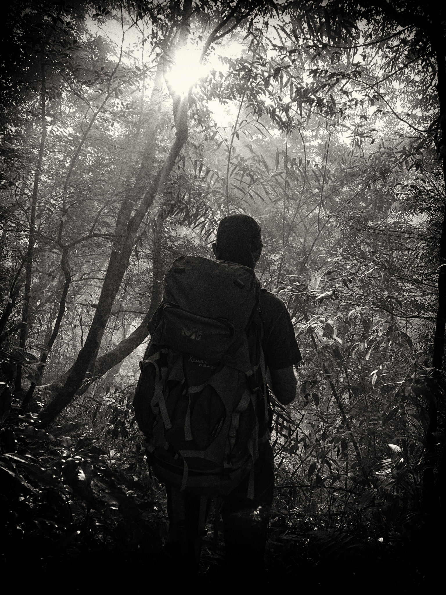 Yannick Dauby - earth.fm