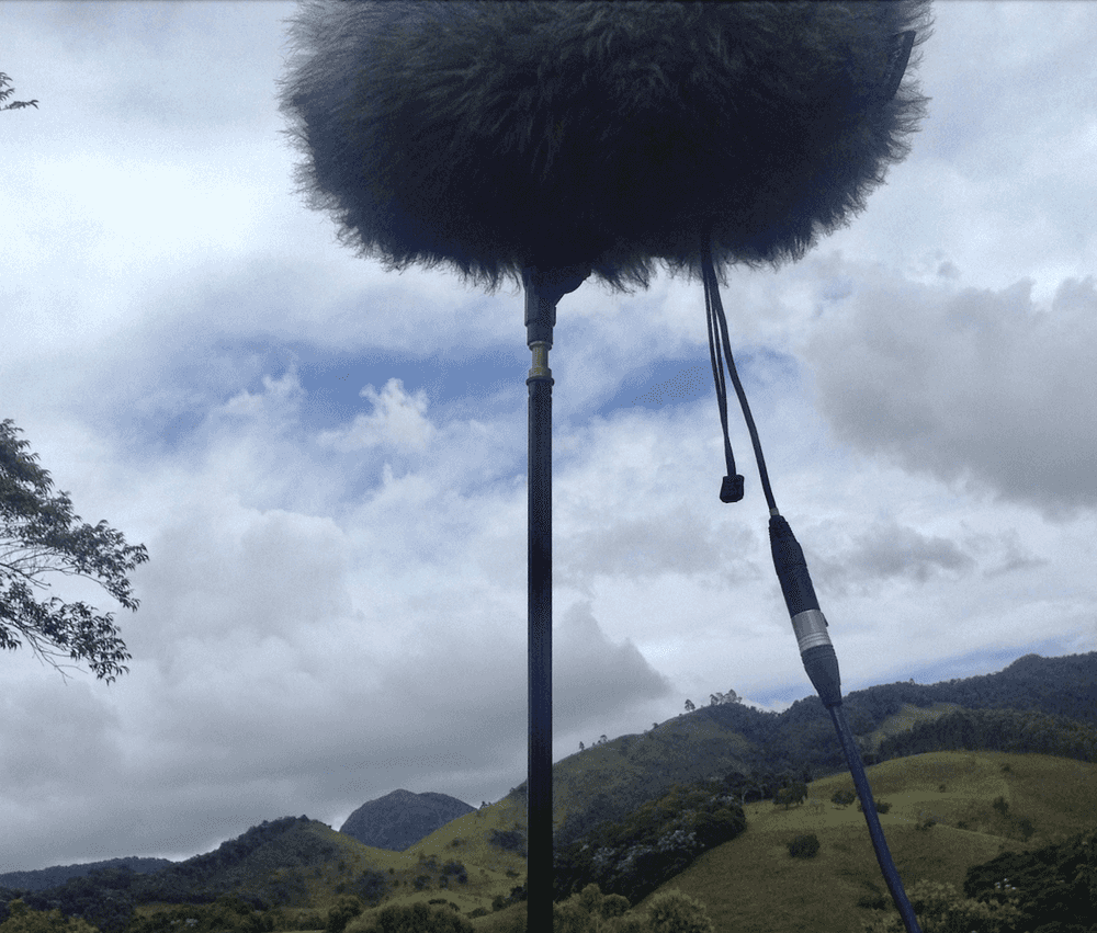 Earth.fm: Listen to nature sounds, fall in love with the Earth