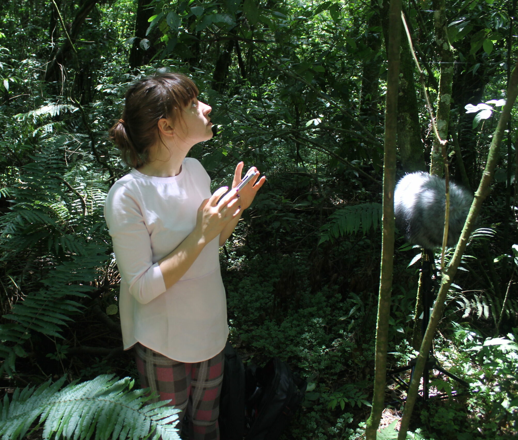 Learning to listen for nature field recording - earth.fm