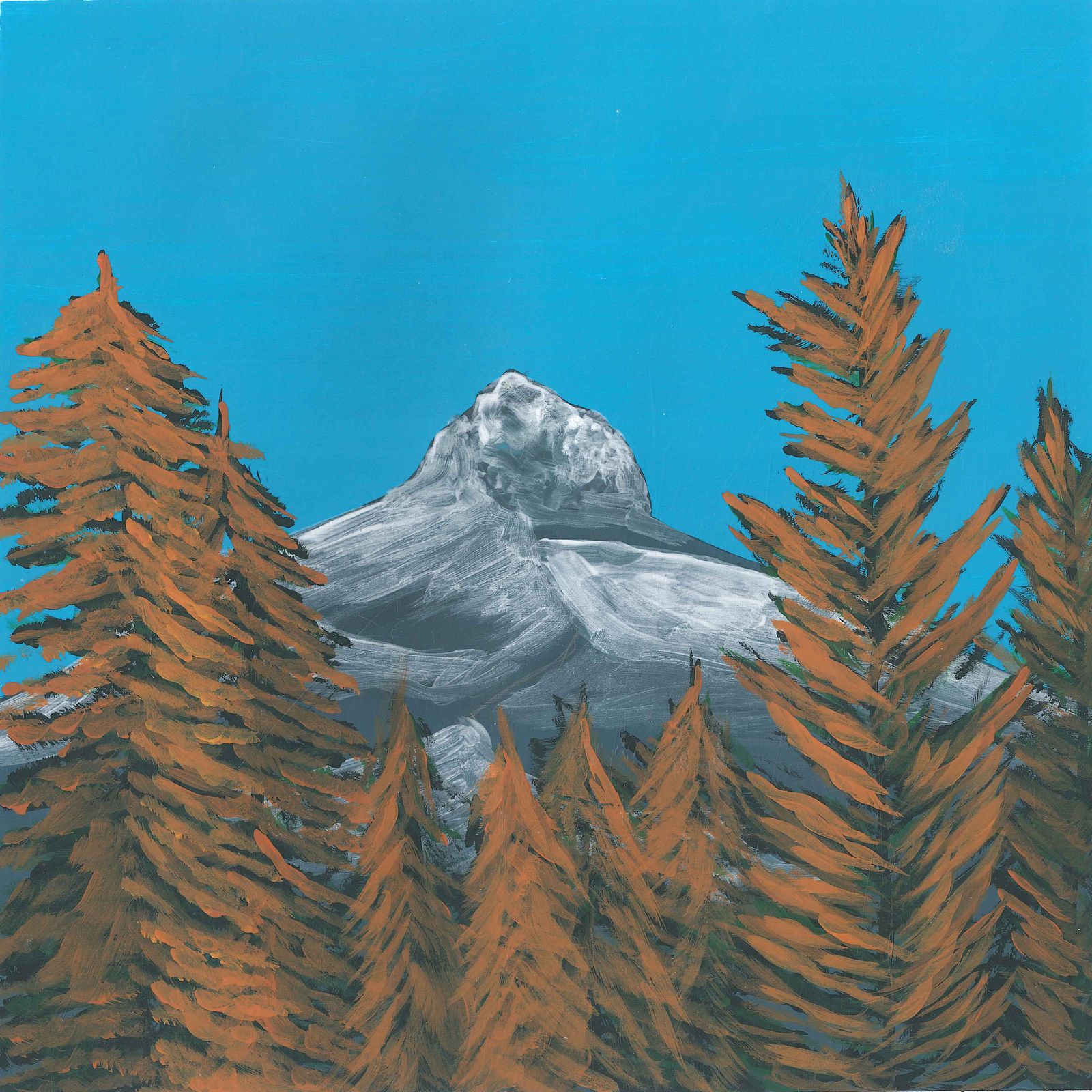 Guanaco - earth.fm