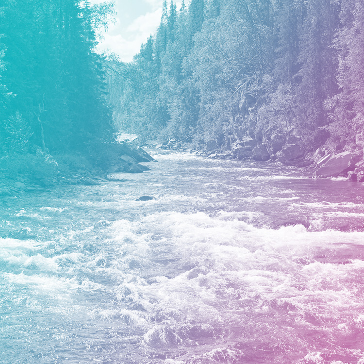 What is geophony? Definition and examples - earth.fm