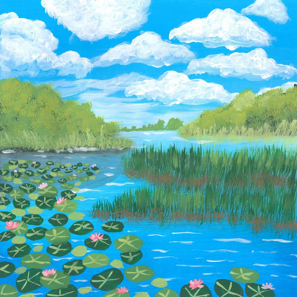 earth.fm: Listen to nature sounds, fall in love with the Earth