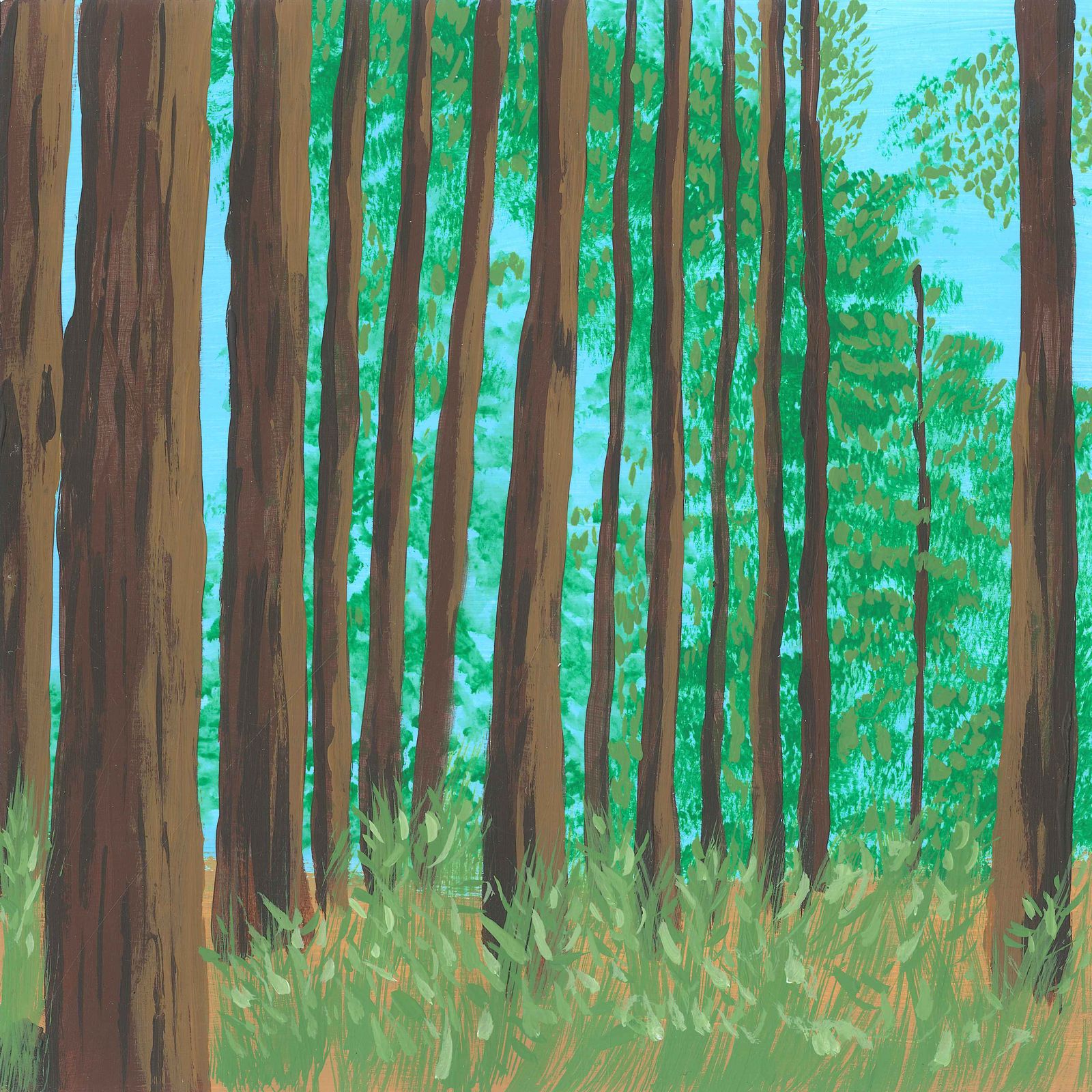 Wind whirl on pinetrees - earth.fm