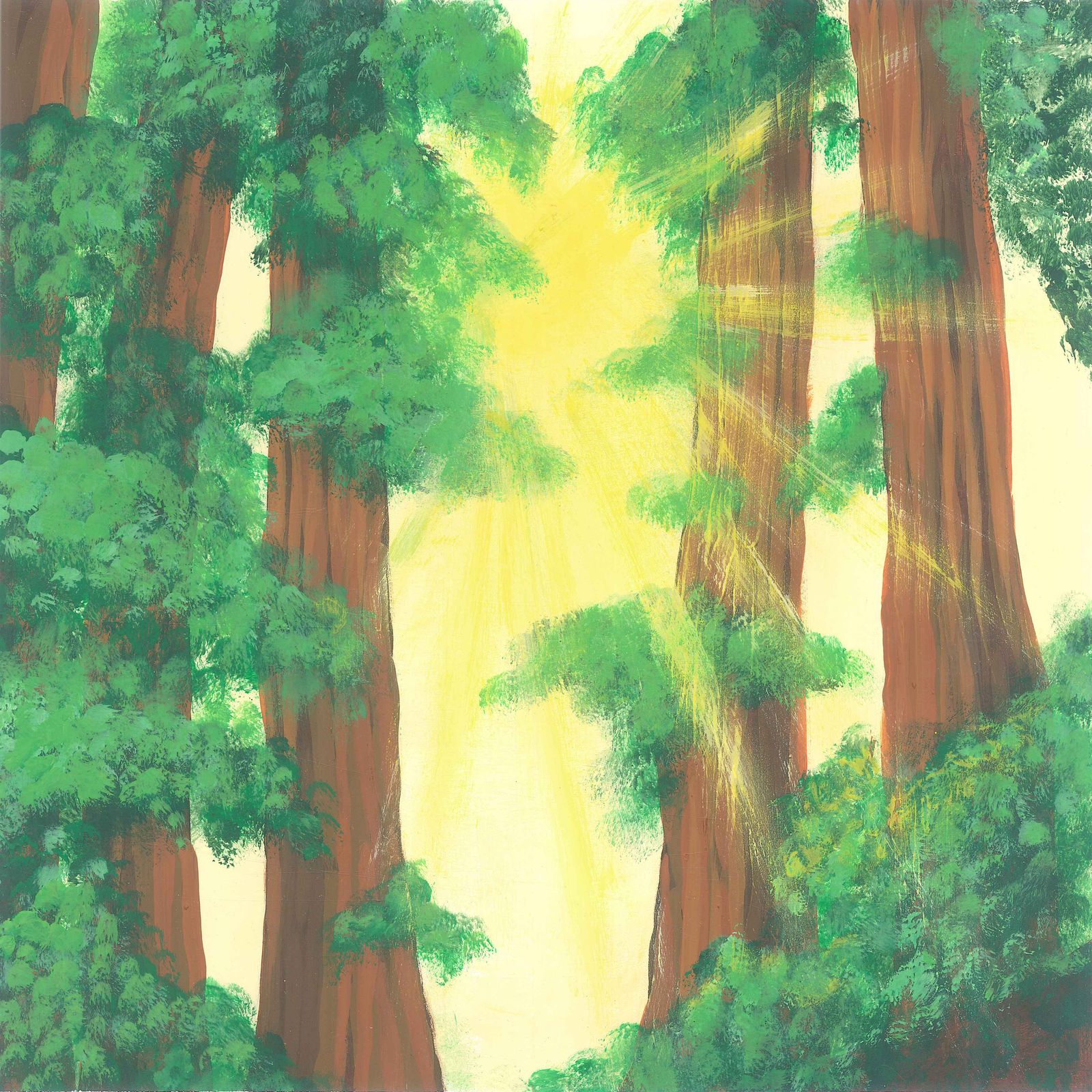 Dawn in the rainforest - Sounds of Costa Rica - earth.fm