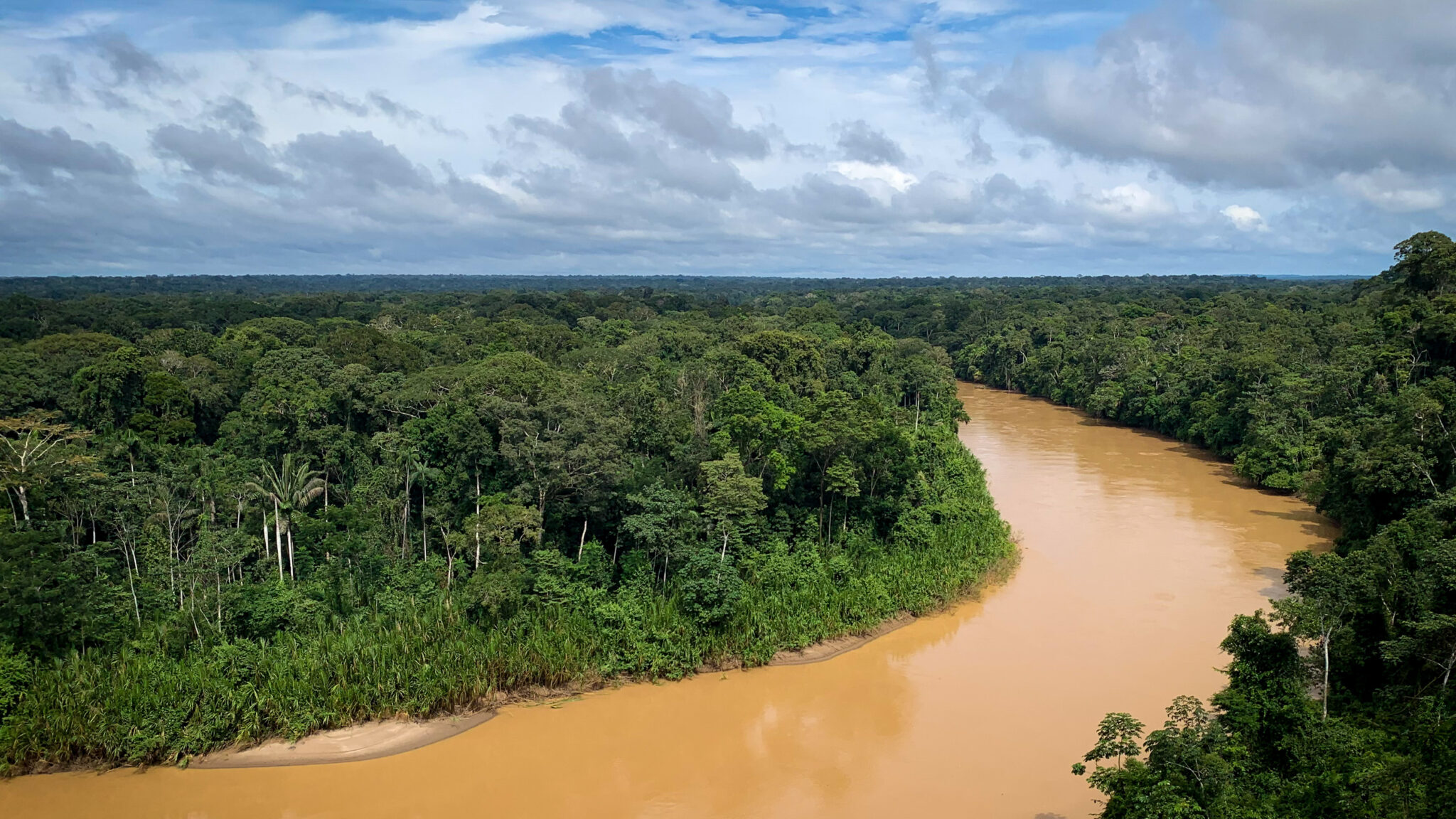 Wild Amazon - Rainforest soundscape - earth.fm