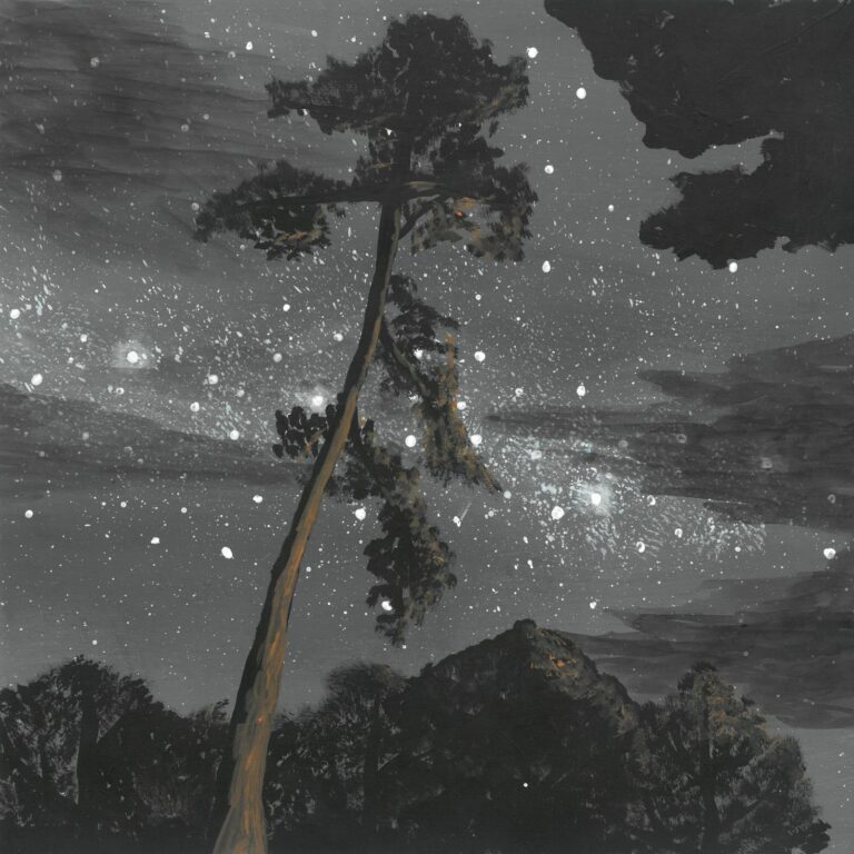 Nature sounds and human well-being - earth.fm