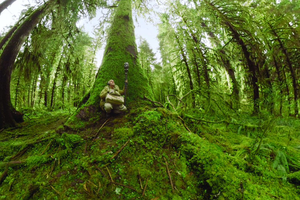 Soundscape ecology on film - earth.fm